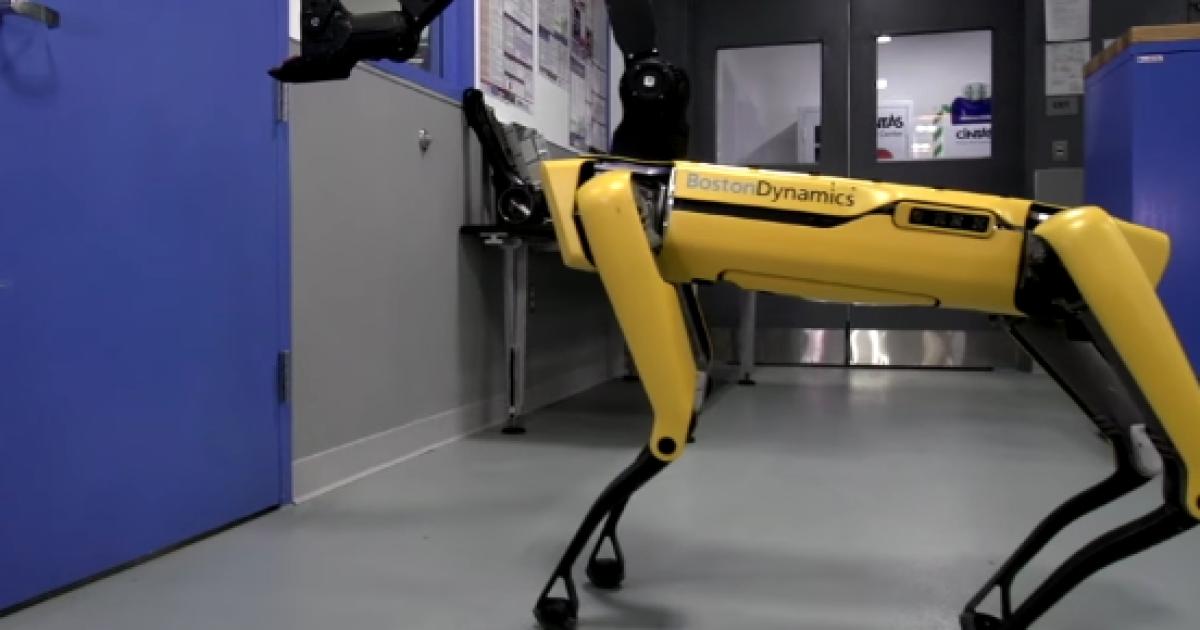 È stato creato il primo cane robot, apre anche le porte, video