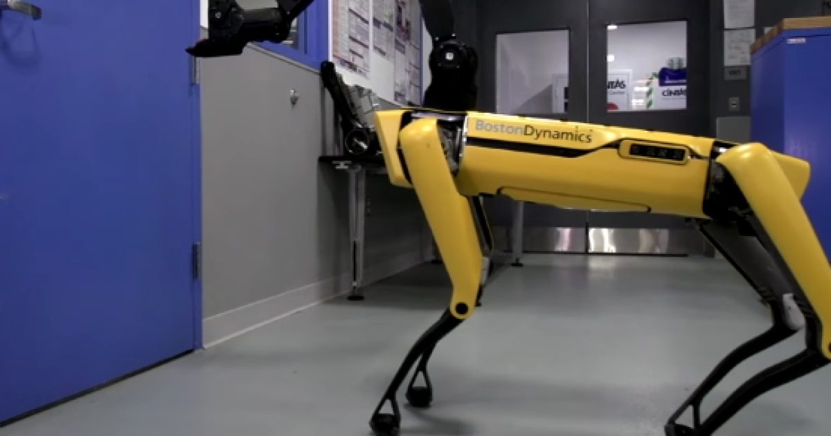 È stato creato il primo cane robot, apre anche le porte, video