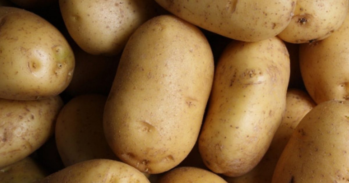 Quattro ricette per cucinare le patate in modo fantasioso