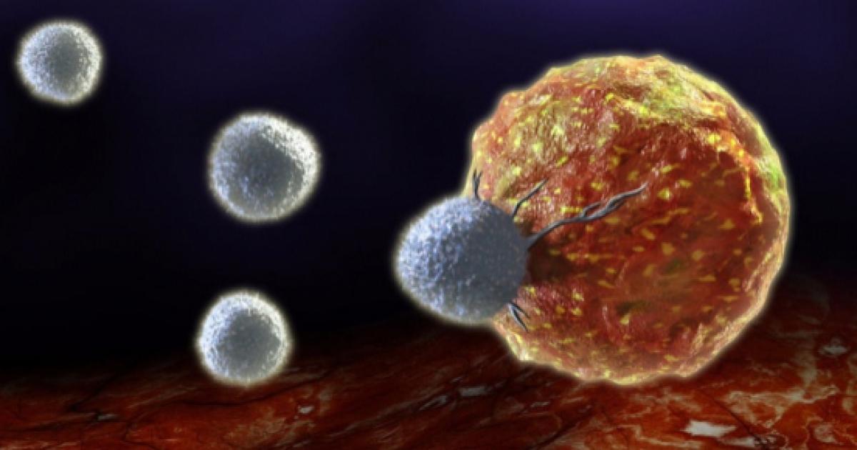 Cancro: ecco le 12 regole d'oro per la prevenzione dei tumori