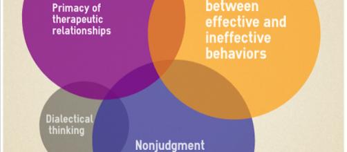 A beginners guide to dialectical behavior therapy