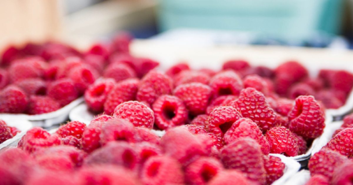 Conoce los grandes beneficios de la frambuesa