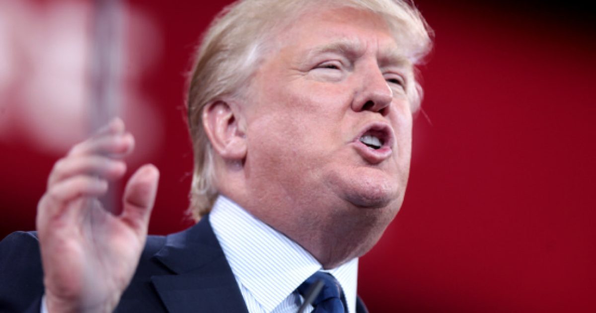 How Donald Trump was changed into a monster