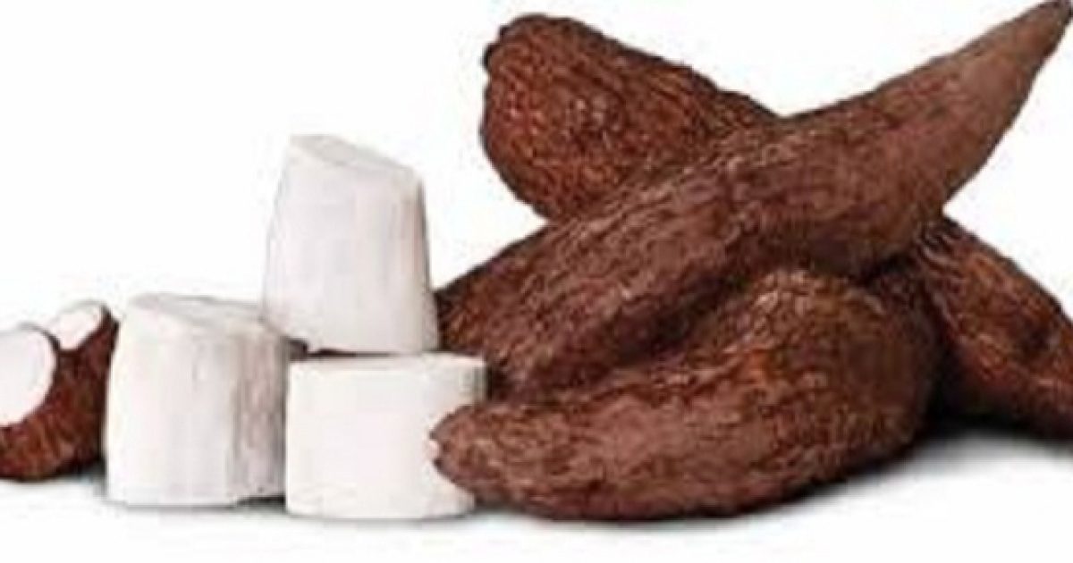 La yuca, mandioca o tapioca. ¿Qué es?
