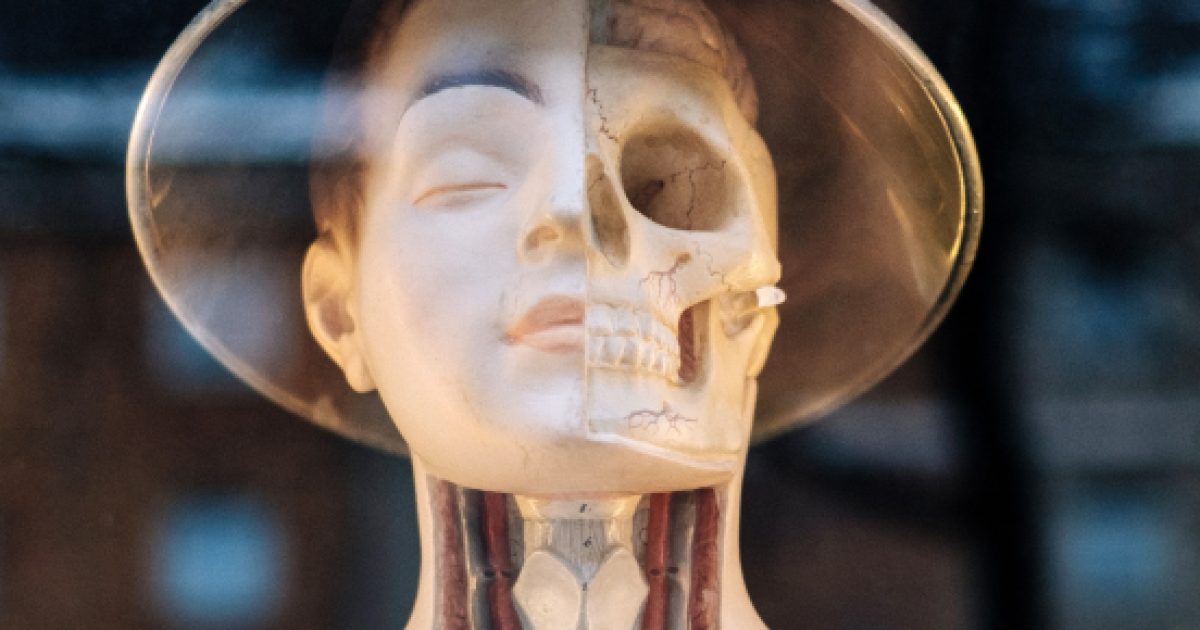 Augmented humanity - a new step in our evolution