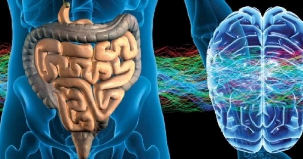 I microbi dell’umore: il legame tra disturbi psichici e intestino I microbi dell’umore: il legame tra disturbi psichici e intestino