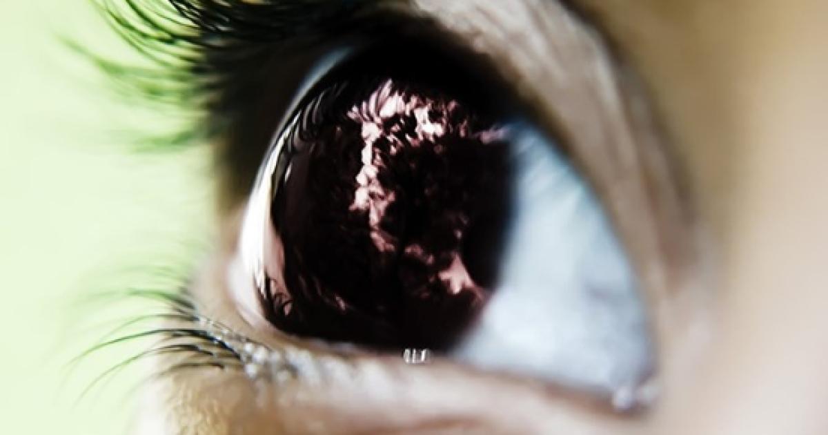 Lo que debes saber sobre la vista