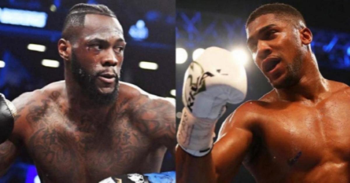 Joshua vs Wilder, febbraio 2019 è la data probabile per il grande match