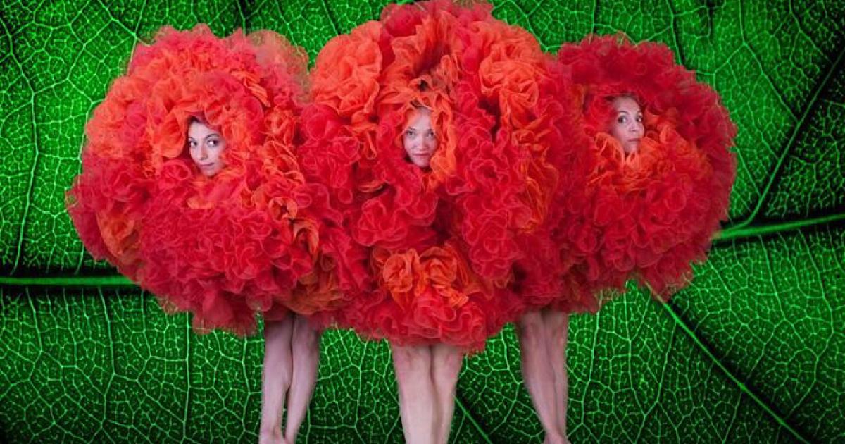 MOMIX: An artistically theatrical masterpiece comes to NYC