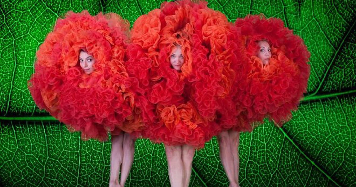 MOMIX: An artistically theatrical masterpiece comes to NYC