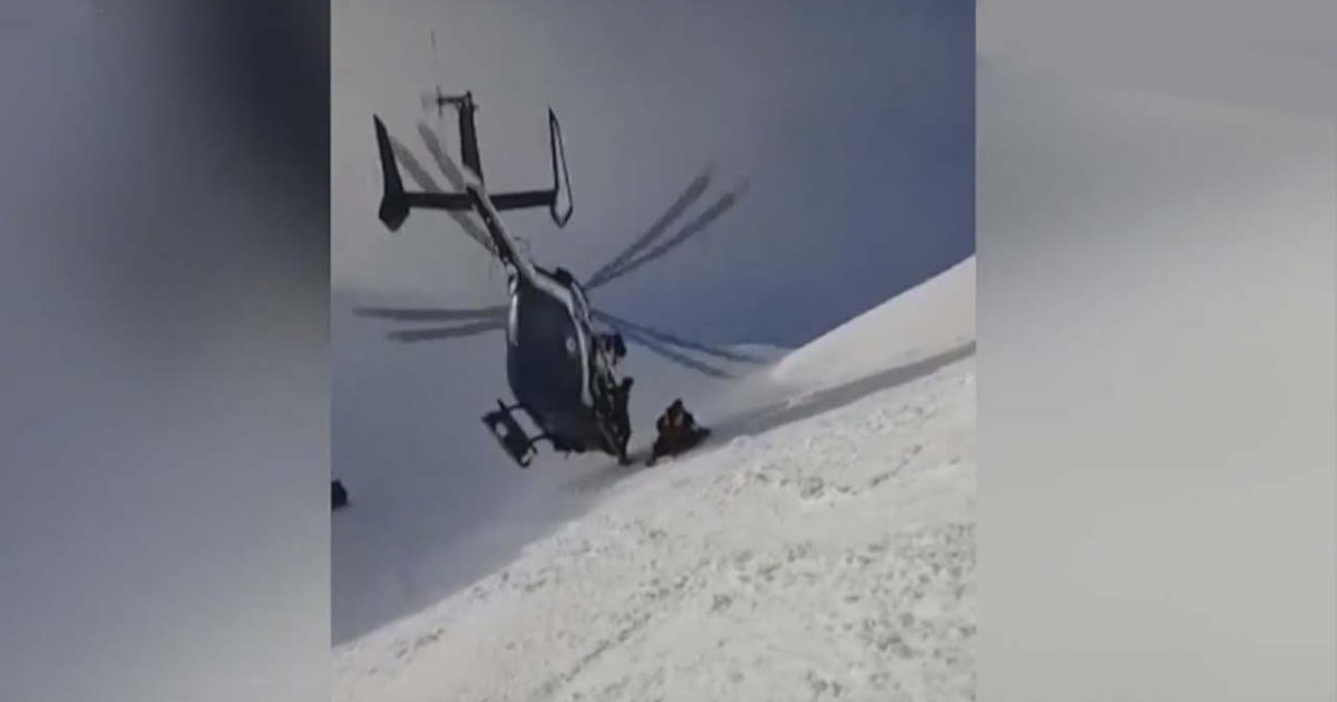 5 amazing rescue stories in the news this week - 5