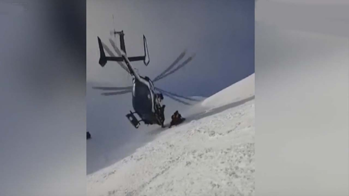 5 amazing rescue stories in the news this week