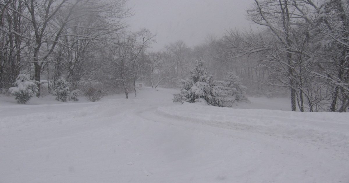 5 Twitter responses to Snowpocalypse 2019