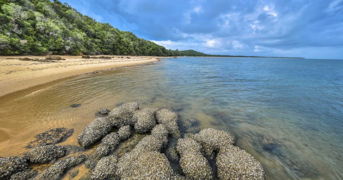 5 ilhas no Brasil que valem a pena conhecer