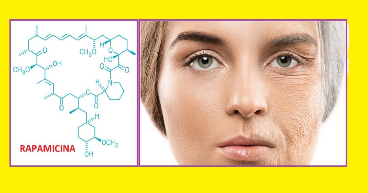 Philadelphia, un nuovo studio propone una crema anti-età a base di ...