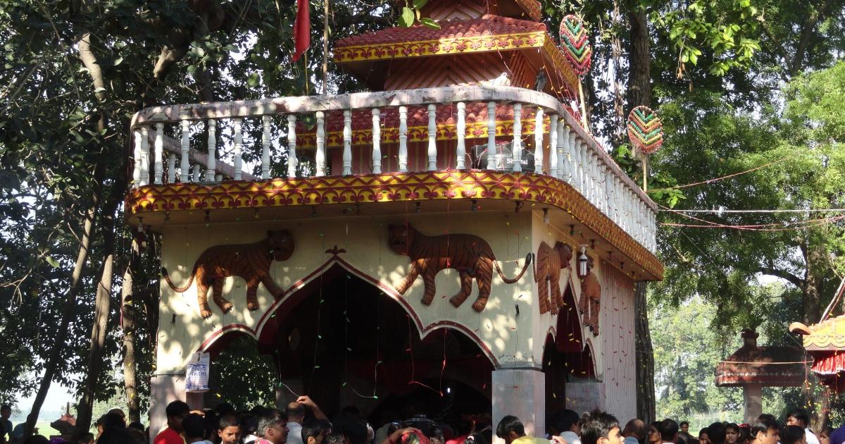 Nepal's animal sacrifice festival to appease goddess Gadhimai is ...