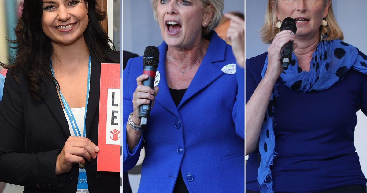 8 Labour and 3 Conservative MPs resign to form new independent party