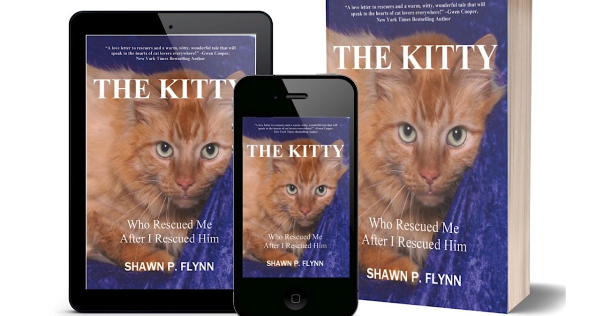 THE KITTY: Interview with author Shawn Flynn