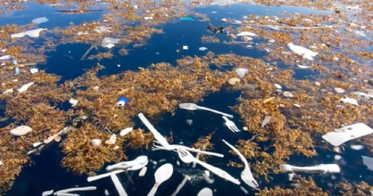 Facts About Plastic Bags In Our Oceans Iucn Water