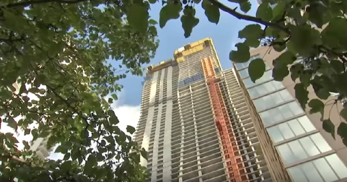 Skyscrapers kill billions of migratory birds that collide with them in ...