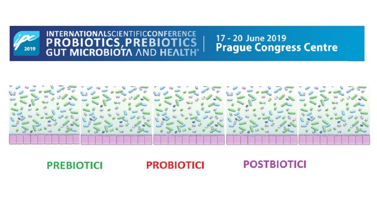 IPC a Praga su prebiotici, probiotici e postbiotici: allo studio ...
