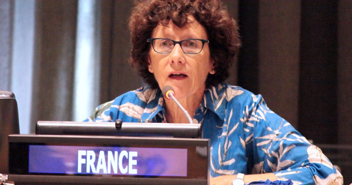 Brigitte Collet, a nova embaixadora da França no Brasil