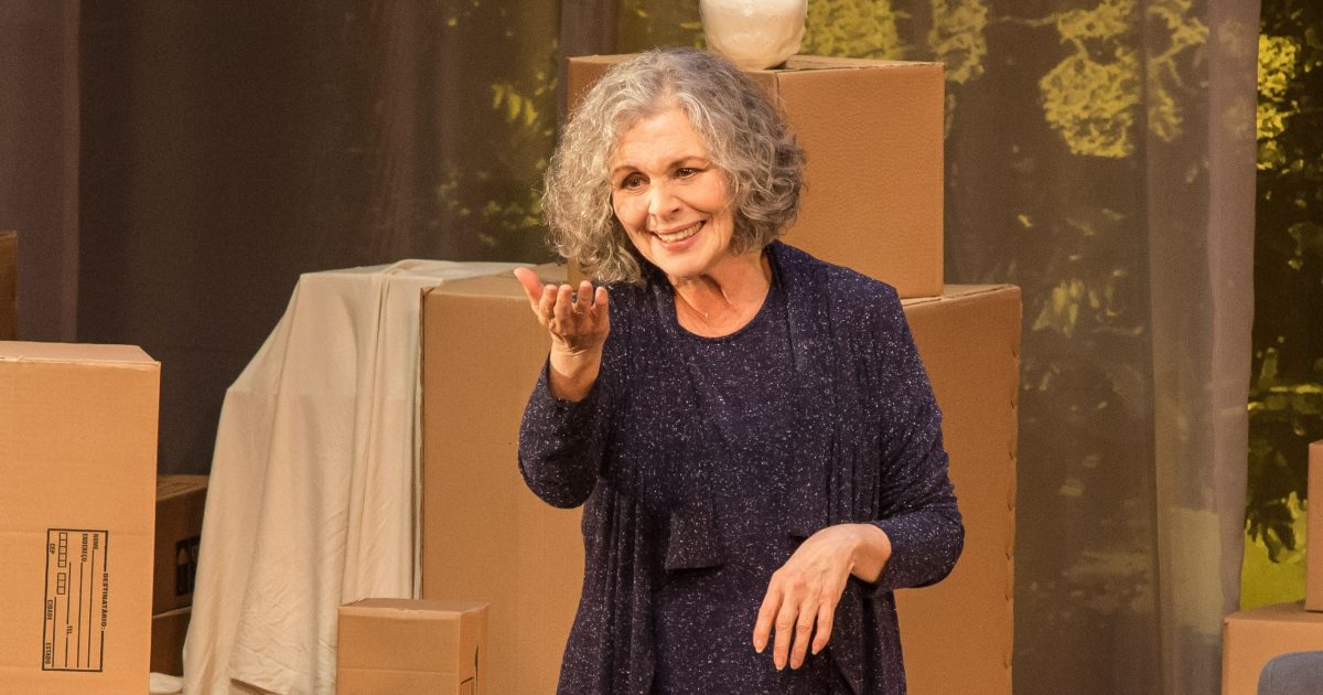 5 séries que fizeram parte da trajetória de Irene Ravache