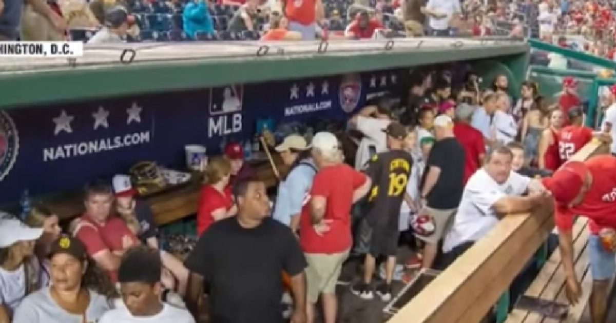 Firing of guns halts a baseball match in the United States