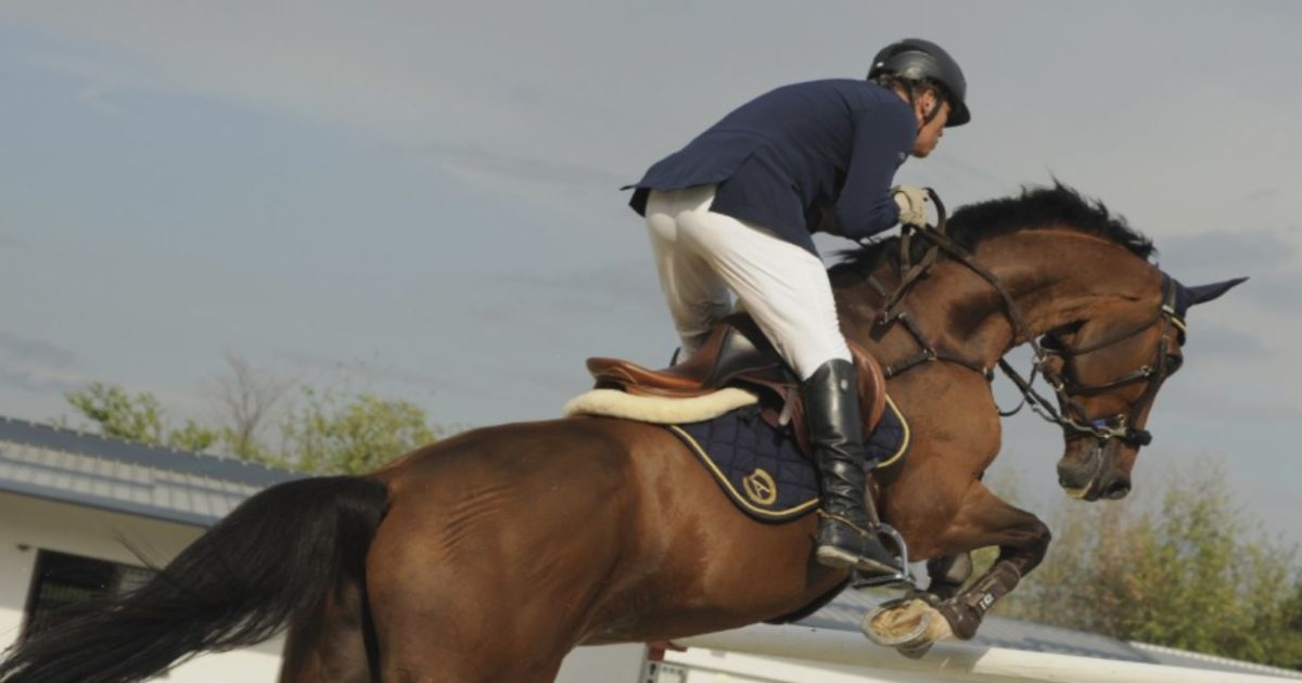 Muere un adolescente de 16 años, joven promesa de la Doma, al caerse ...