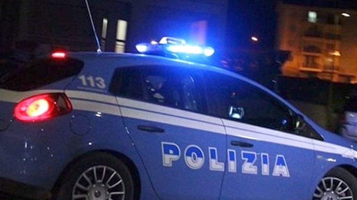 'Ndrangheta, favorivano la latitanza del boss Giuseppe Pelle: otto ...
