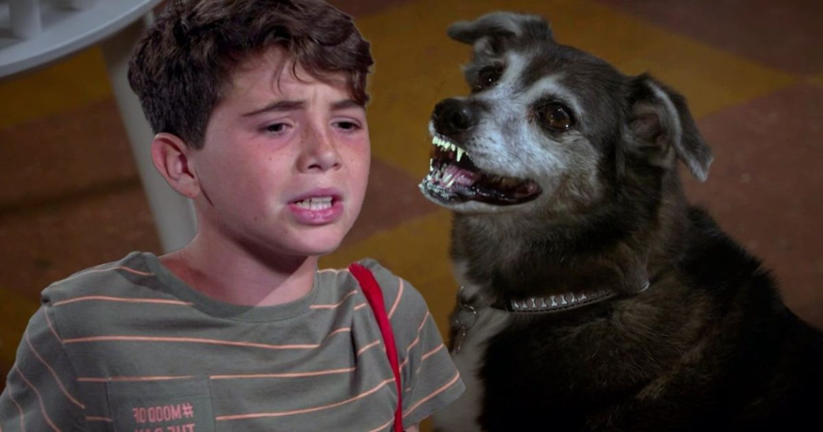 Un posto al sole, puntate al 13/10: Bricca aggredisce Jimmy, lui resta ...