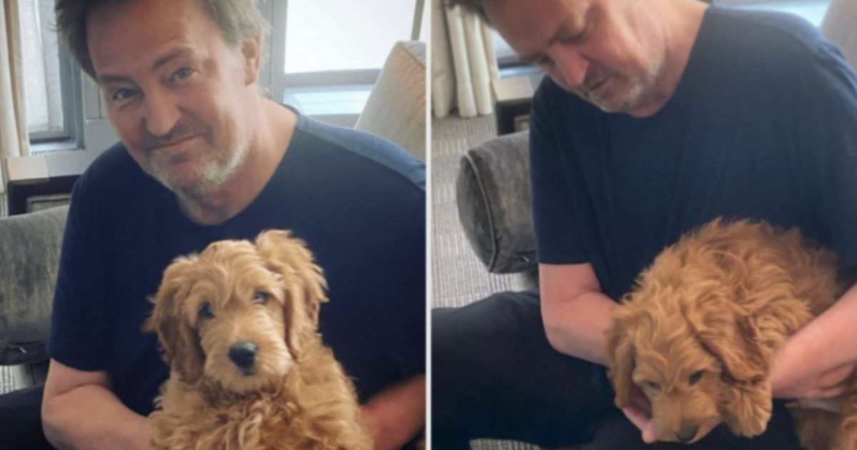 Matthew Perry no tenía perro en el momento de su muerte, según People