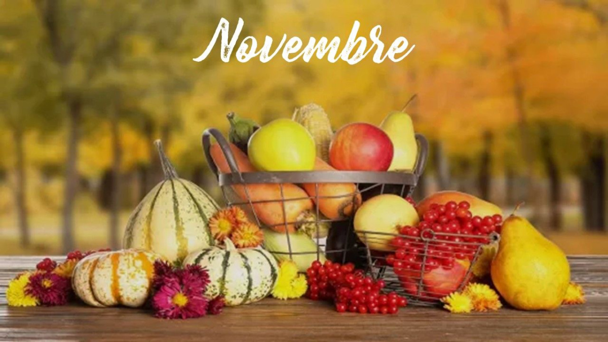 L'oroscopo del mese di novembre: periodo equilibrato per il Sagittario ...