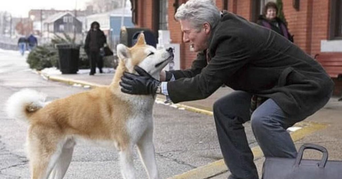 'Sempre ao Seu Lado': a emocionante história de amor e lealdade de um ...
