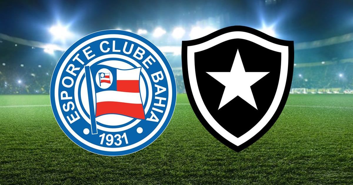 Bahia x Botafogo: onde assistir e informações do jogo do Brasileirão