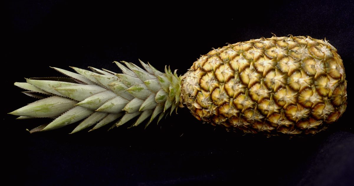 5 benefícios do abacaxi para a saúde