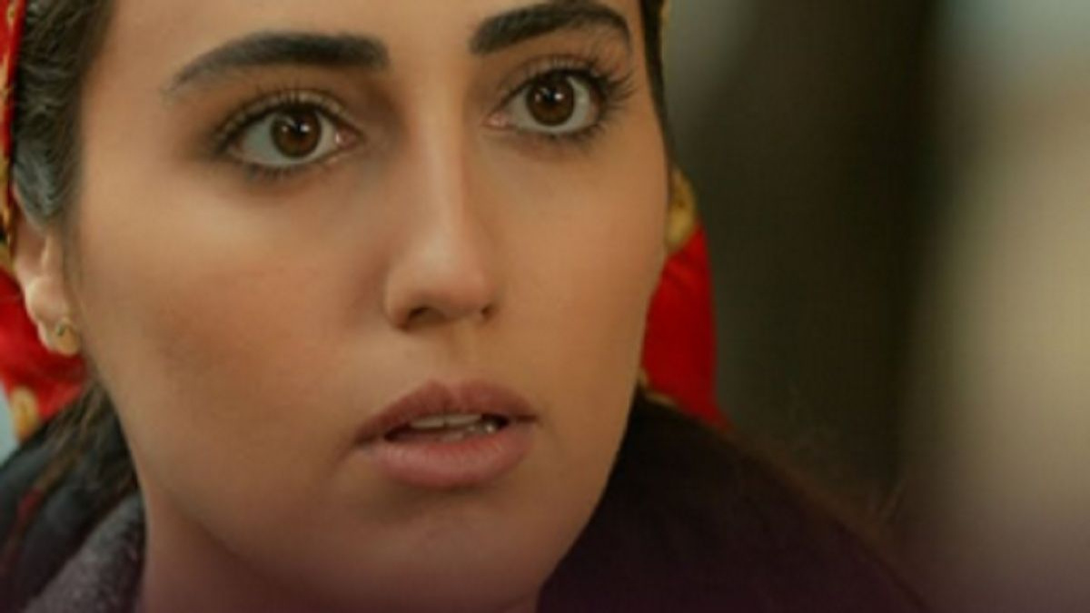 Terra amara, trame turche: Gulten rimane delusa dal fratello Gaffur