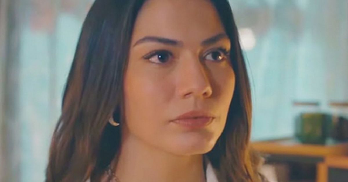 My home my destiny, spoiler turchi: Mehdi sequestra Zeynep, Savas la libera