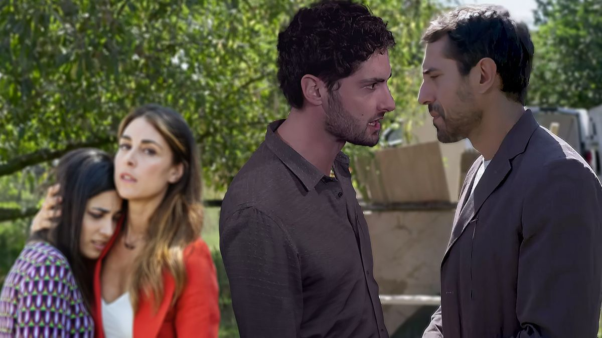 Upas, trame al 18 ottobre: Nikolin si scontra con Costabile per ...