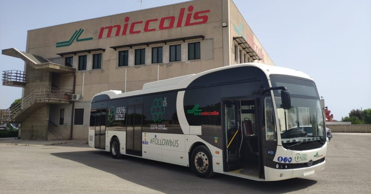 Lavoro, Miccolis ricerca autisti per servizi di linea e aspiranti ...