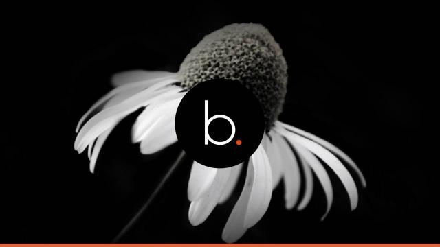 What happens to your brain when you die?