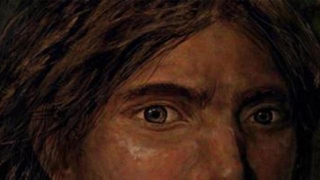 Ricostruito il ritratto dell'Uomo di Denisova, uno dei primi antenati ...
